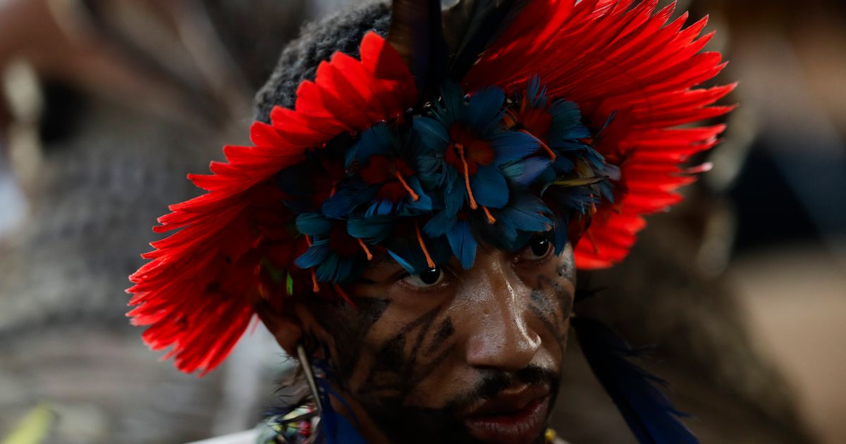 Brazil Indigenous group hails a sacred cloak’s homecoming after ...