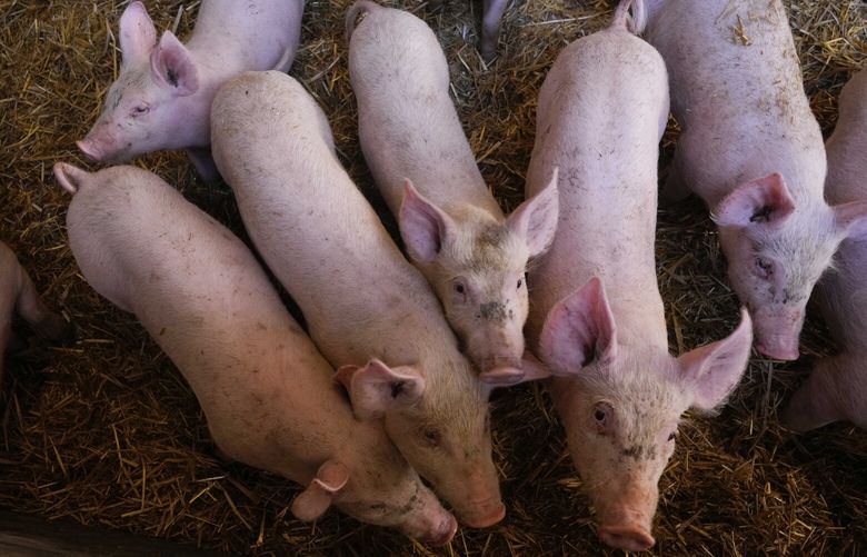 Agriculture | The Seattle Times