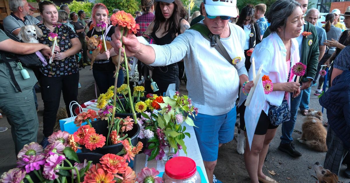 Man accused of killing 80-year-old Seattle dog walker is found ...