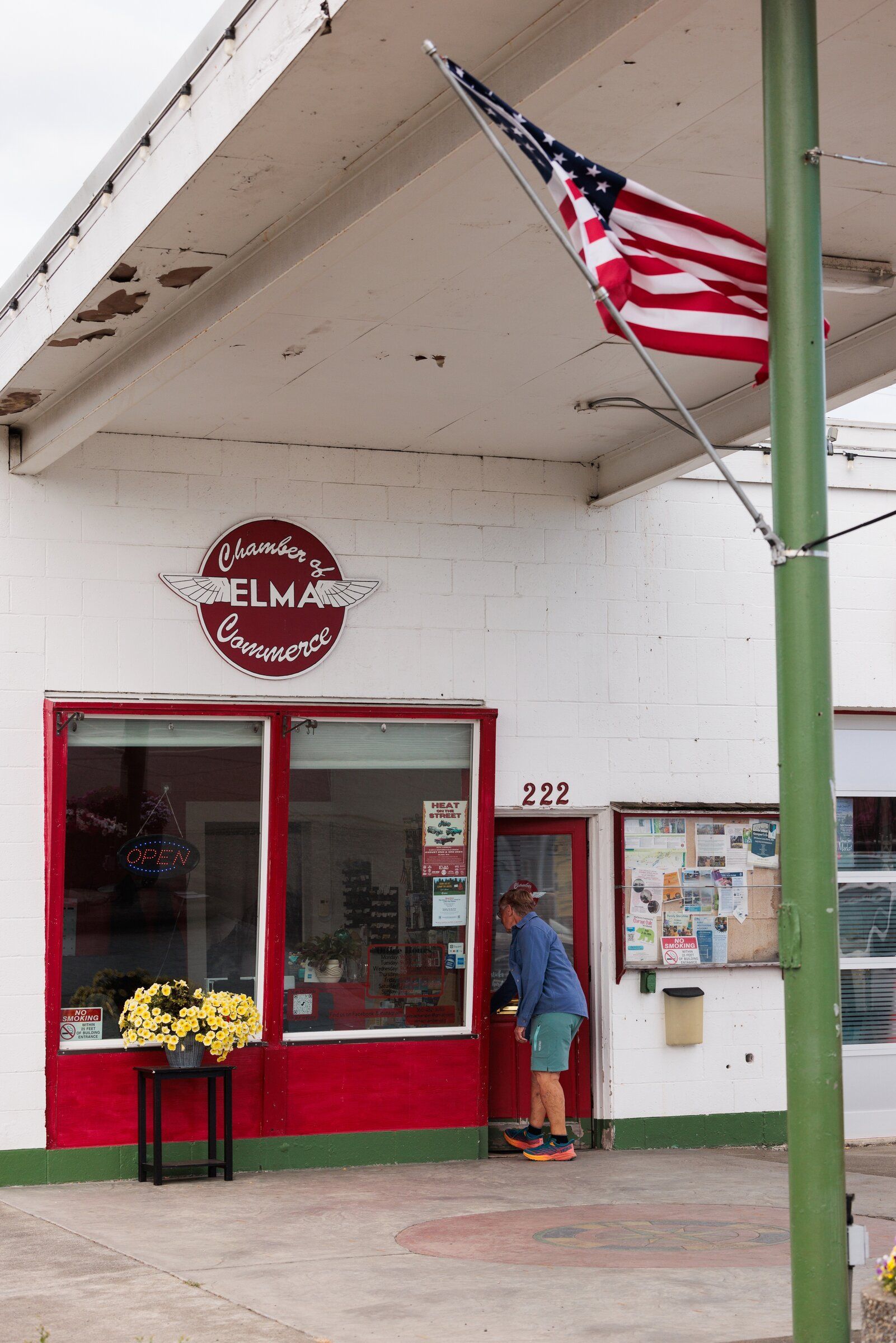 WA’s fight over the old-growth forests of tomorrow | The Seattle Times