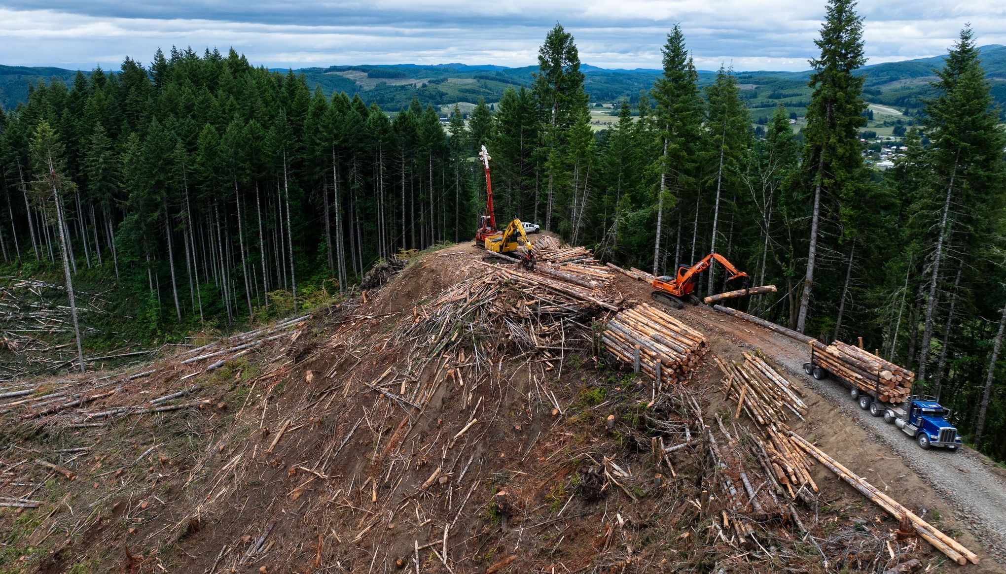 Meet the loggers who cut your trees | The Seattle Times
