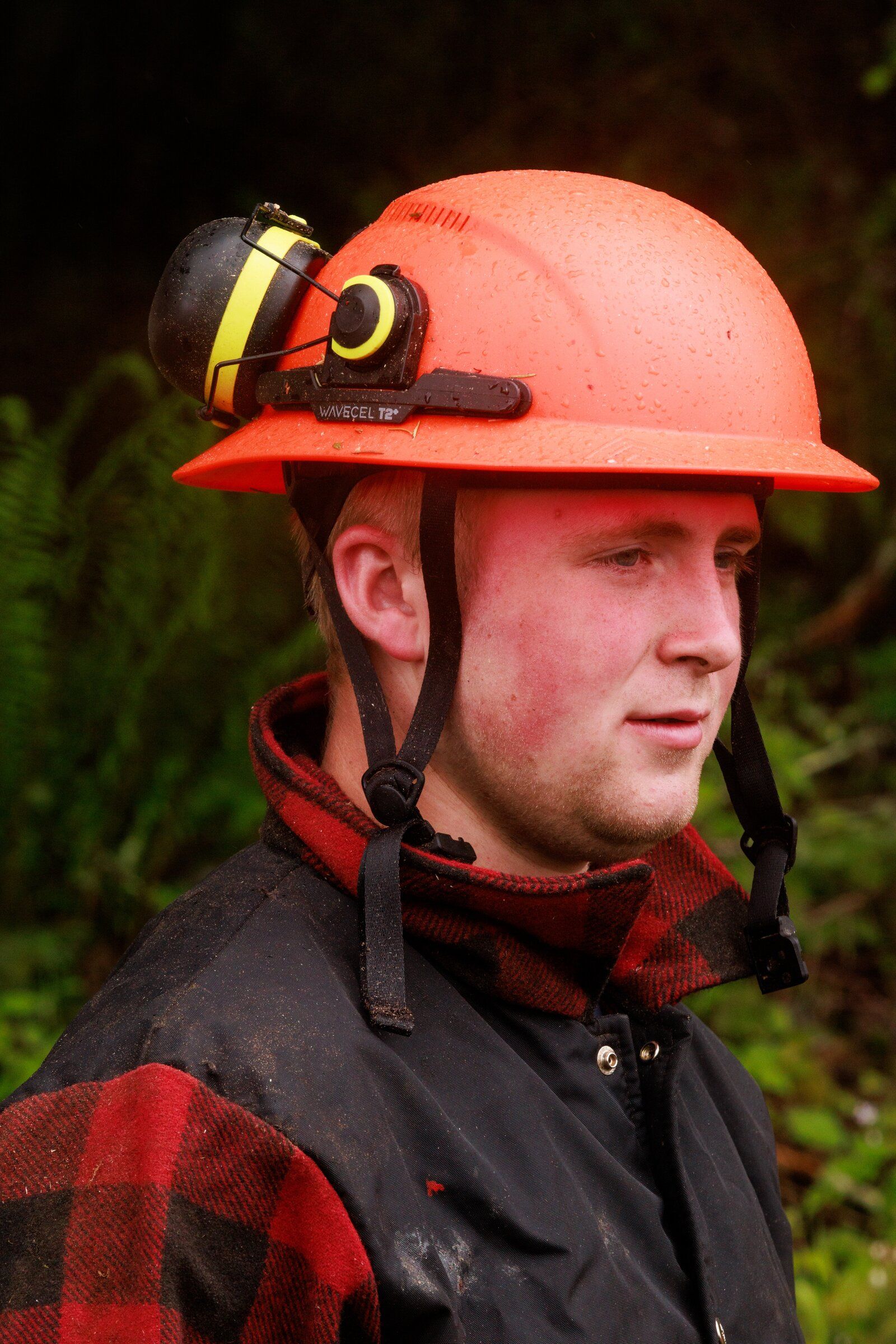 Meet the loggers who cut your trees | The Seattle Times