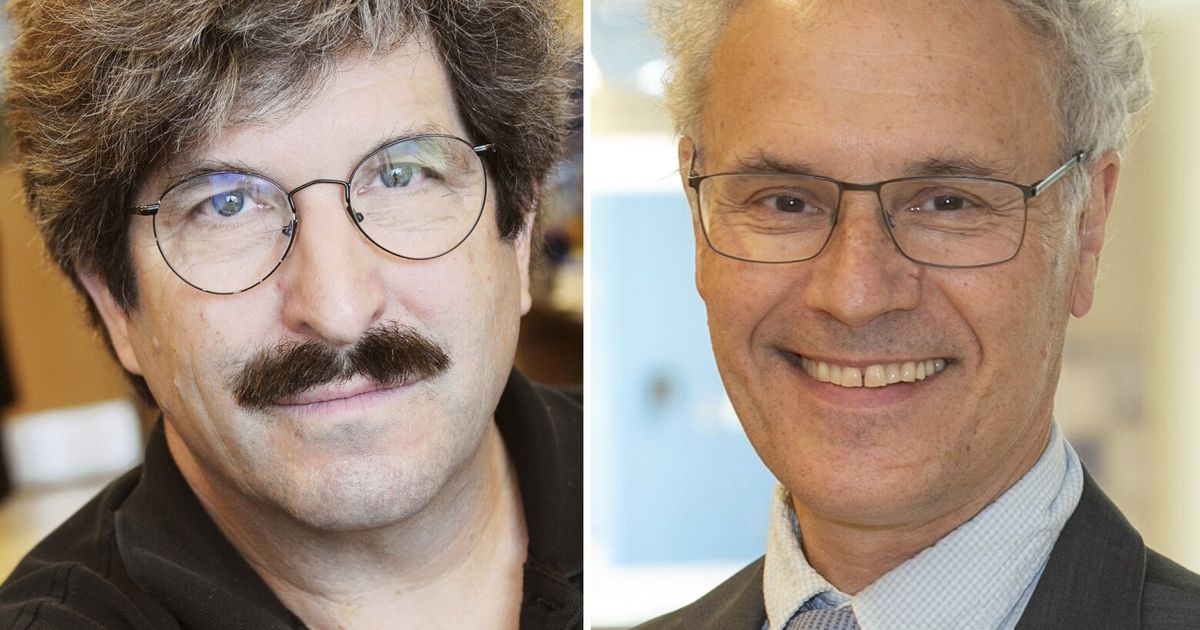 Nobel Prize in medicine honors 2 scientists for their discovery of ...