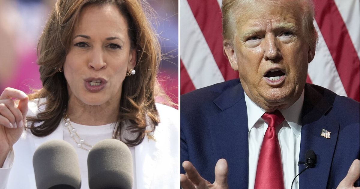 New WA poll shows Harris way ahead, including with moderates ...
