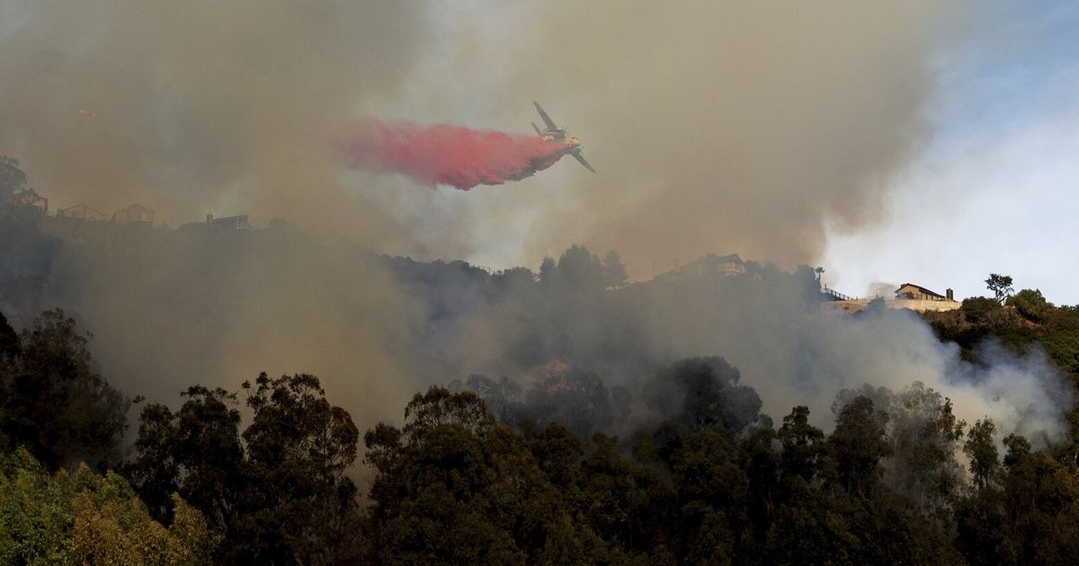 Crews halt fast-moving brush fire that burned 2 Oakland homes, forced ...