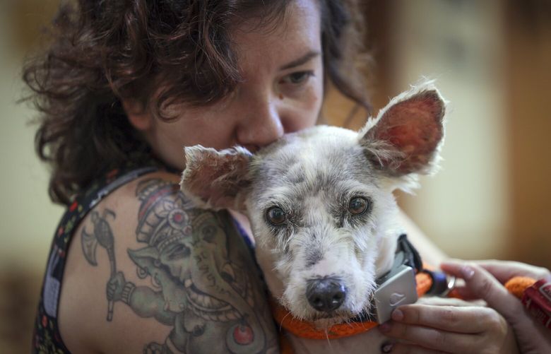 Pets | The Seattle Times