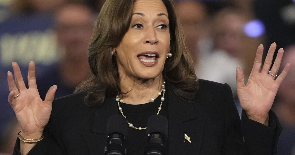 Harris promises to ‘represent all Americans’ after Biden’s remark on ...