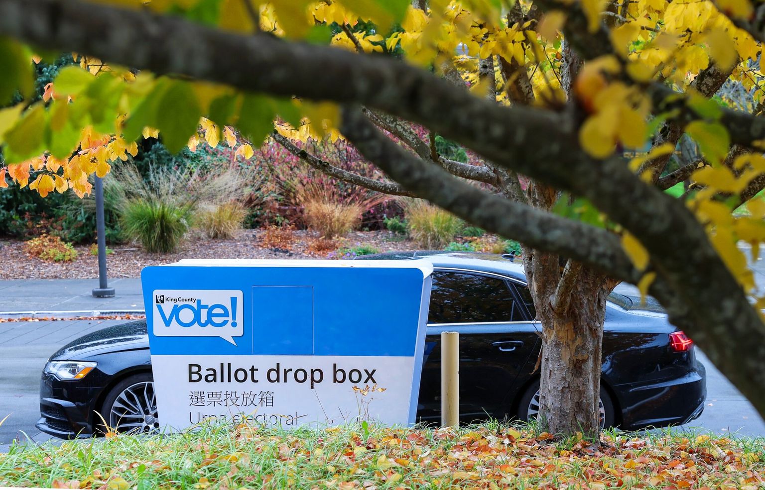 Seattle Times voter guide 2024: What to know for WA general election ...