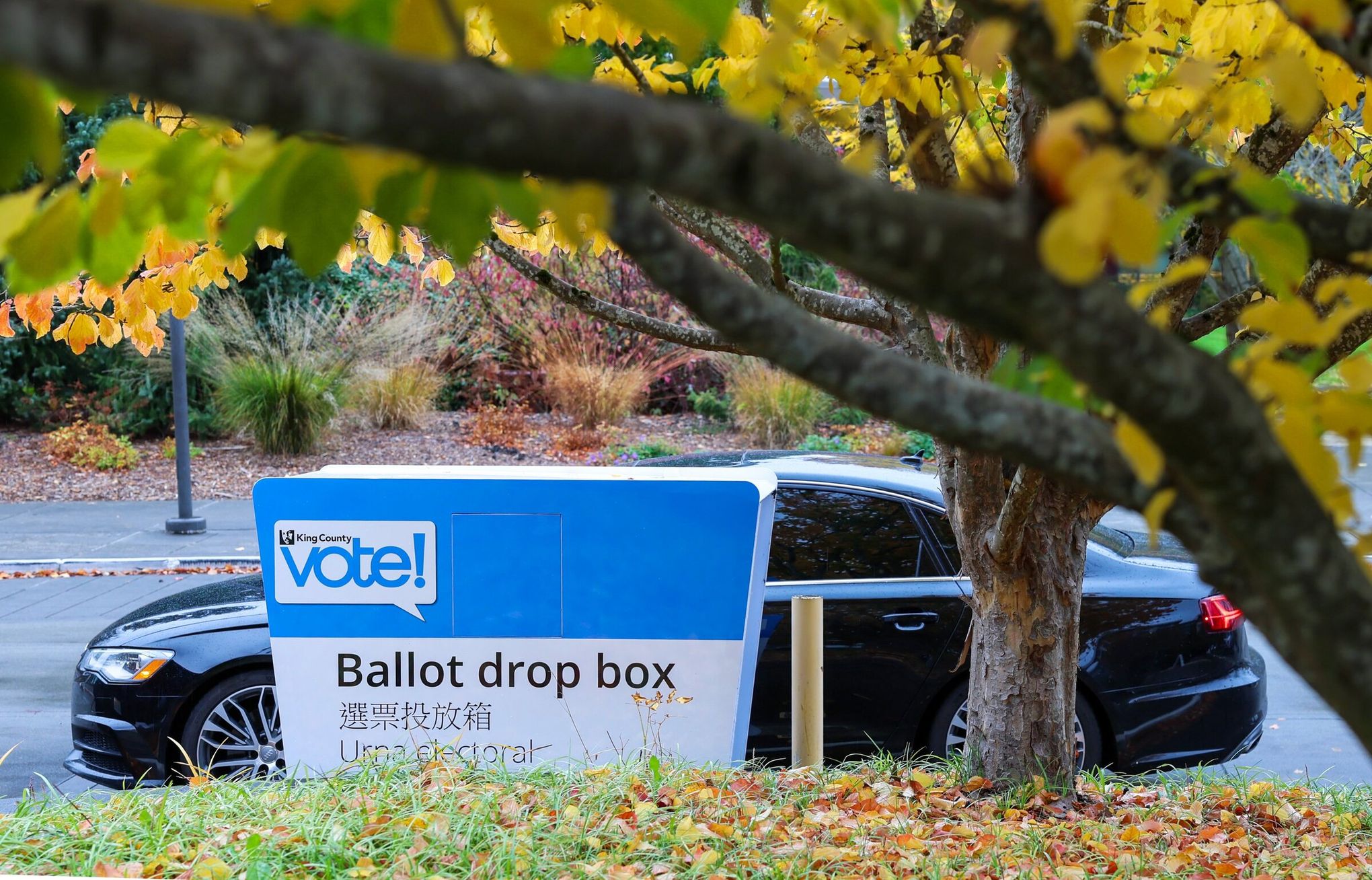 Seattle Times voter guide 2024: What to know for WA general election ...