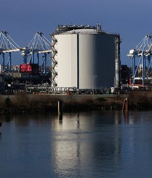 Seattle Times editorial board endorsements: Nov. 5, 2024, general ...