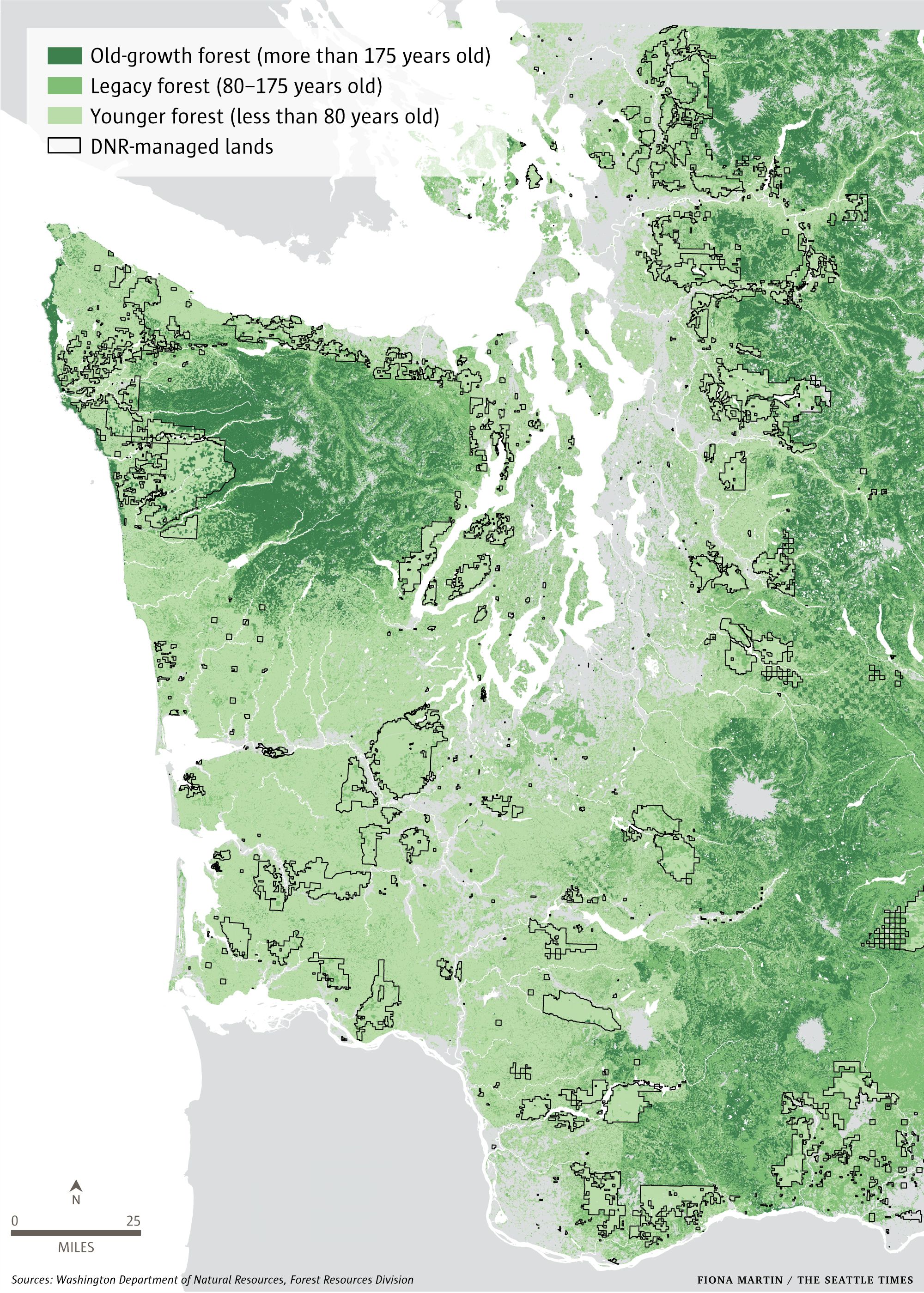 Old Growth Forest Washington State Taking The Pulse Of A Forest (U.S.