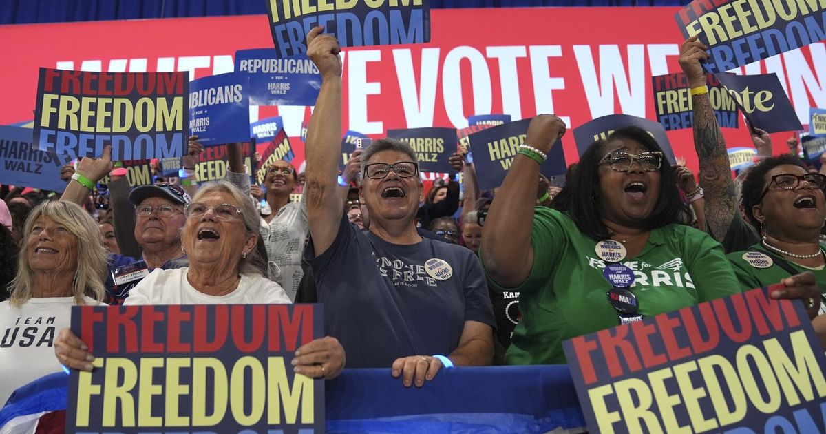 Democracy was a motivating factor for both Harris and Trump voters, but ...