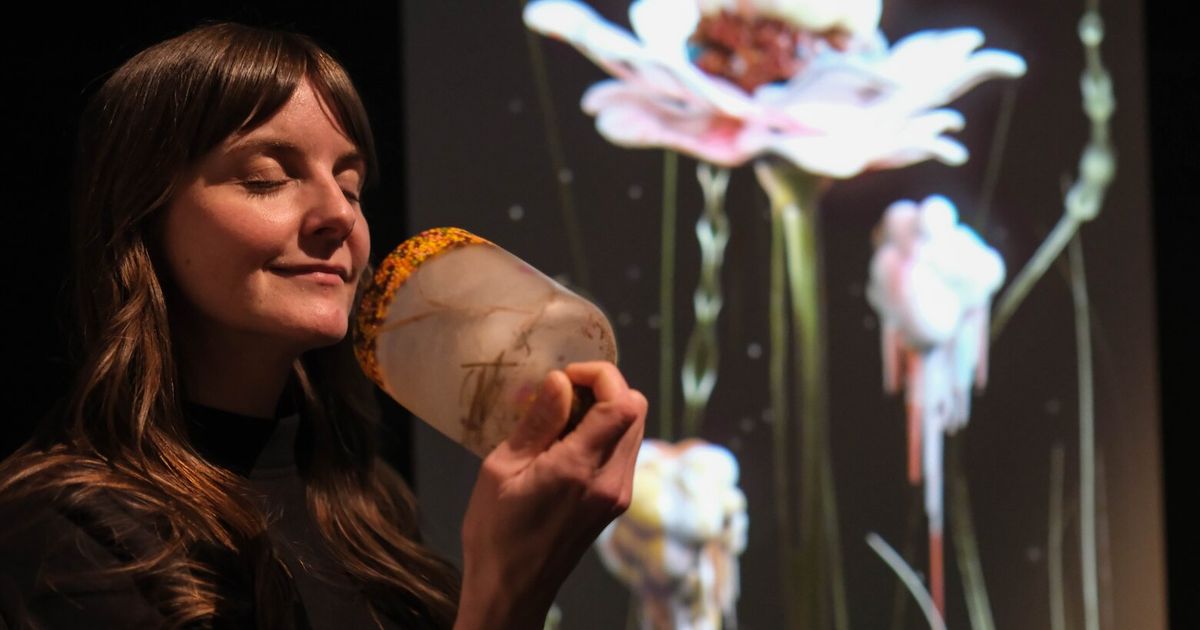 Now at Seattle’s Nordic Museum: An exhibit you can smell | The Seattle ...