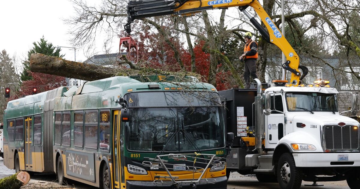 WA windstorm: Tree falls on a King County Metro bus in North Seattle ...