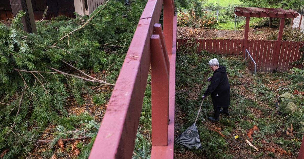 Photos: Seattle area recovers from bomb cyclone as another storm brews ...
