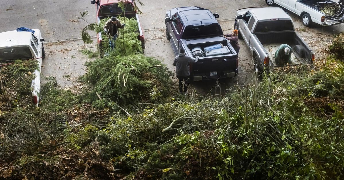 In the dark, waiting for light: WA bomb cyclone relief efforts continue ...