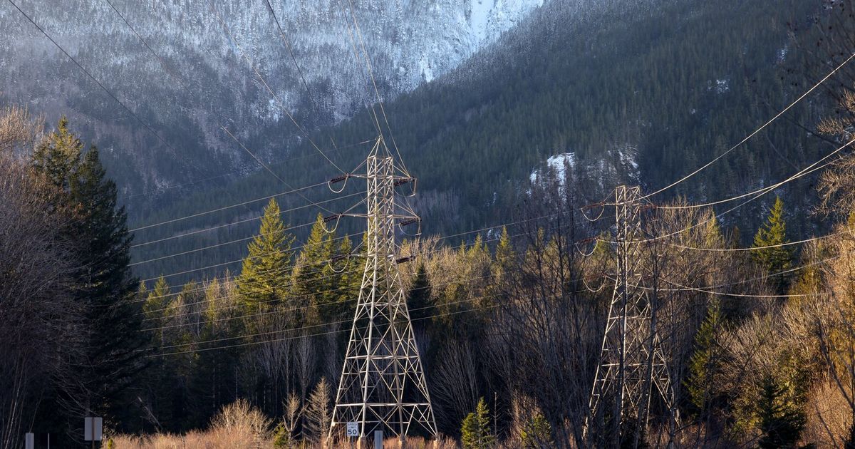 Bomb cyclone shows cracks in WA’s electrical grid | The Seattle Times
