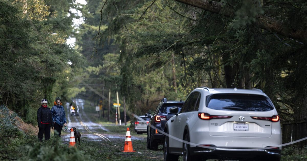 WA windstorm: Get ready for another round of wind and rain | The ...