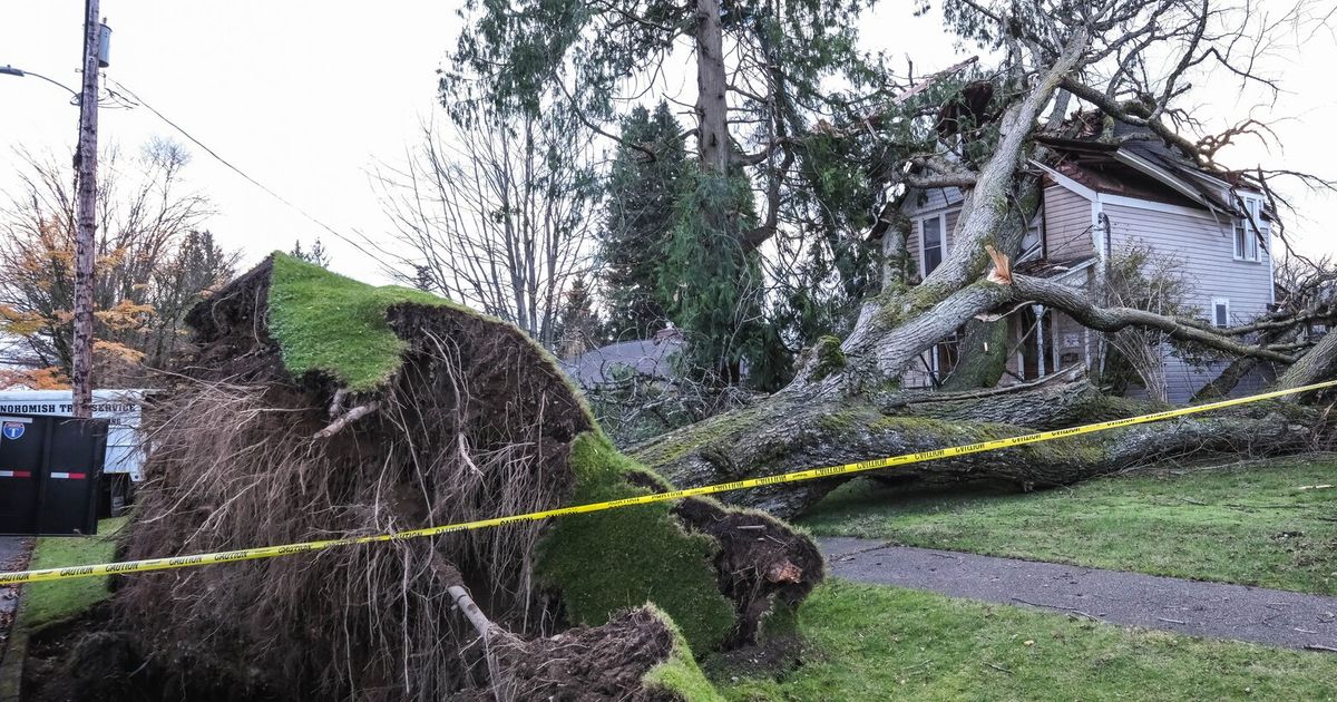 How to report storm damage from Western WA’s bomb cyclone | The Seattle ...