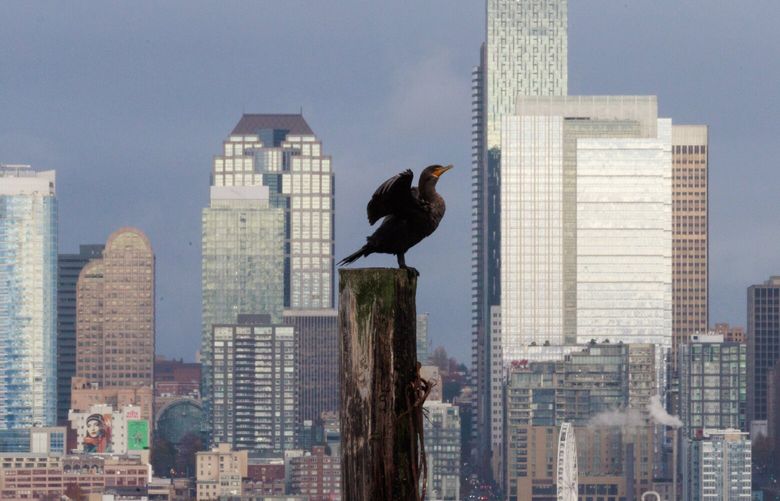Weather | The Seattle Times