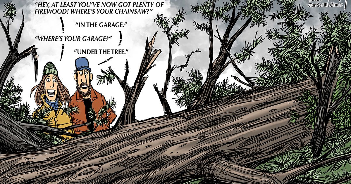 Bomb cyclone turns trees into a big pile of firewood | The Seattle Times