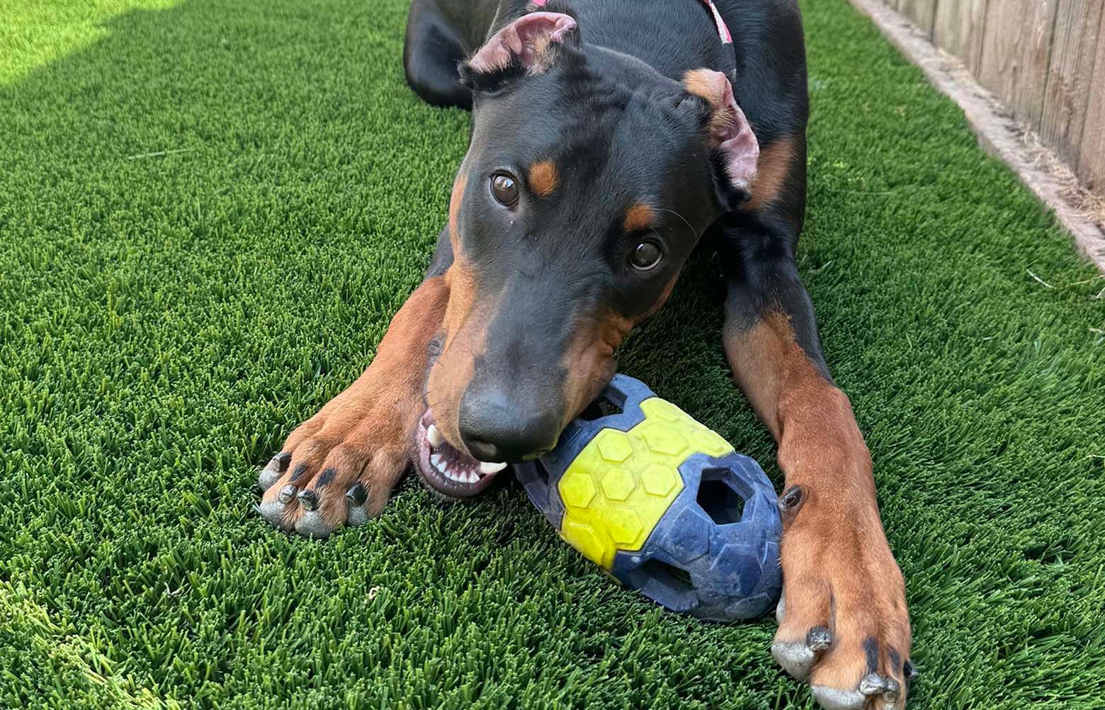 Local Causes: Making a difference right here at home | The Seattle Times