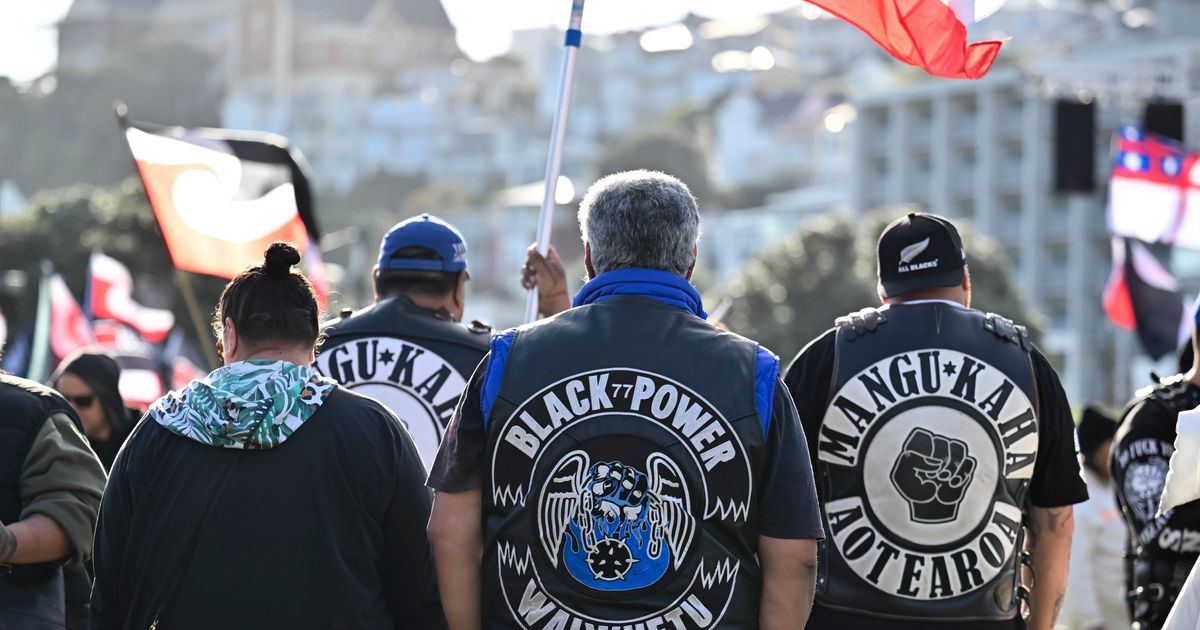 New Zealand police begin arrests for gang symbol ban as new law takes ...