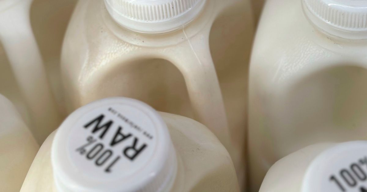 Bird flu virus was found in raw milk. What to know about the risks ...