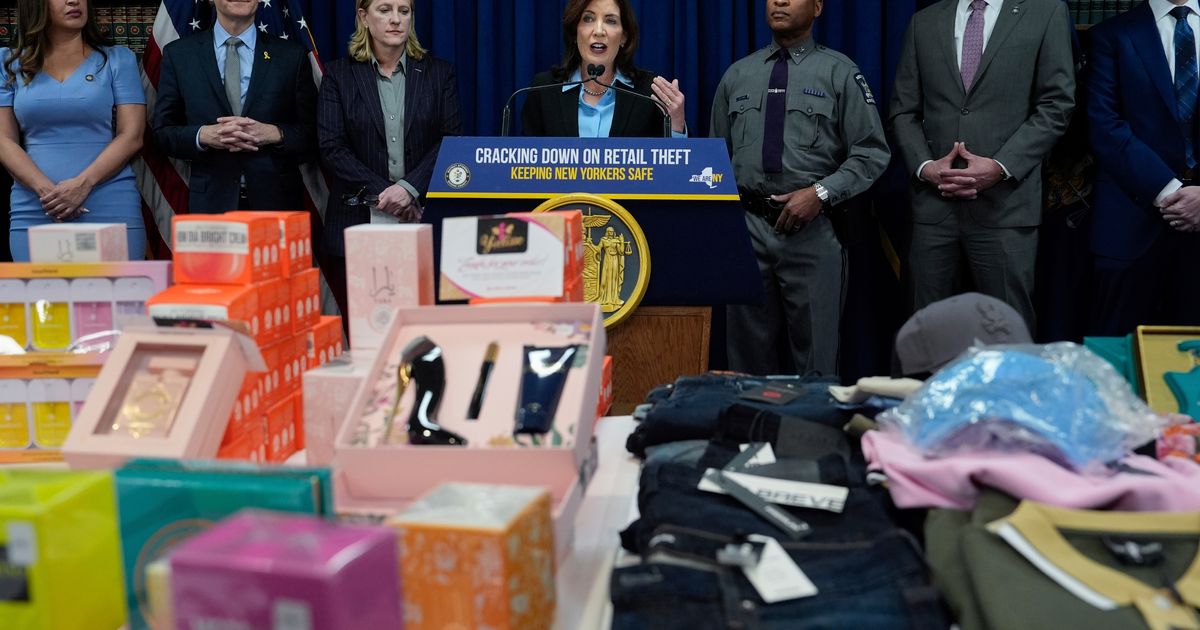 Shoplifting ring stole $2M in items then resold them abroad ...
