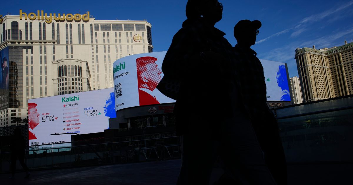 PHOTO COLLECTION: US Election 2024 Offbeat Moments Election Day Nov. 5 ...