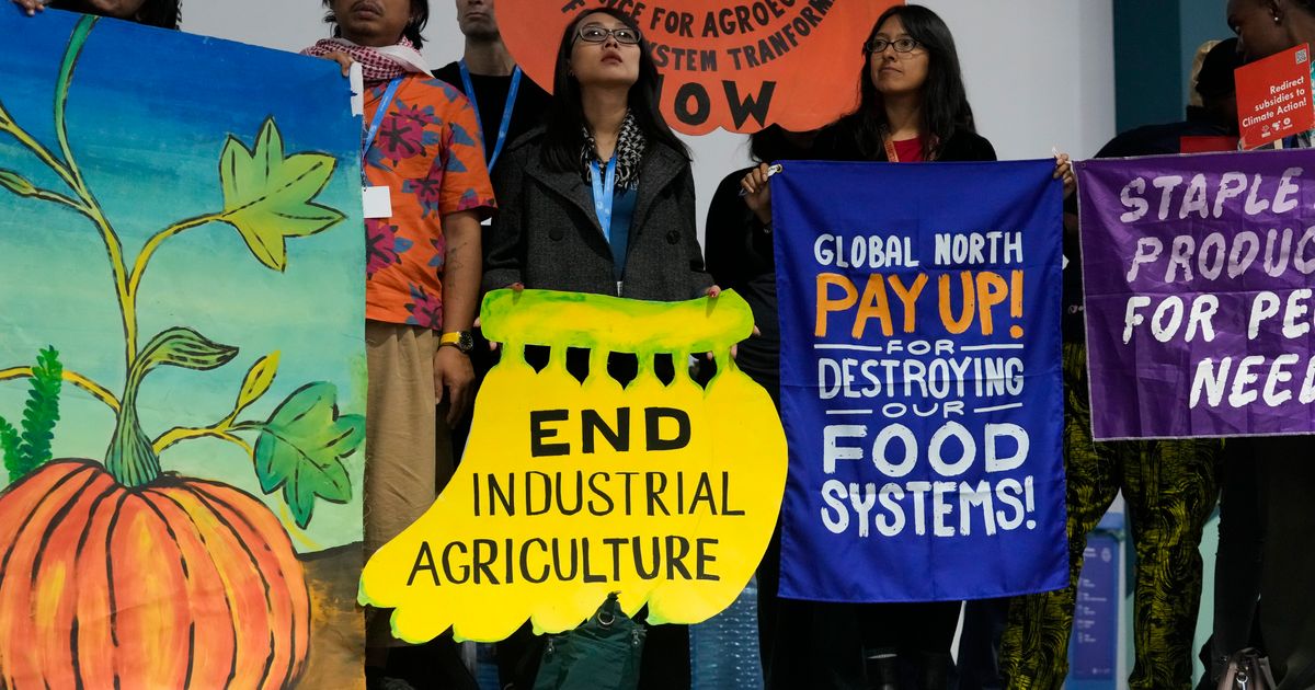 At UN climate talks, farmers argue for a share of money dedicated to ...