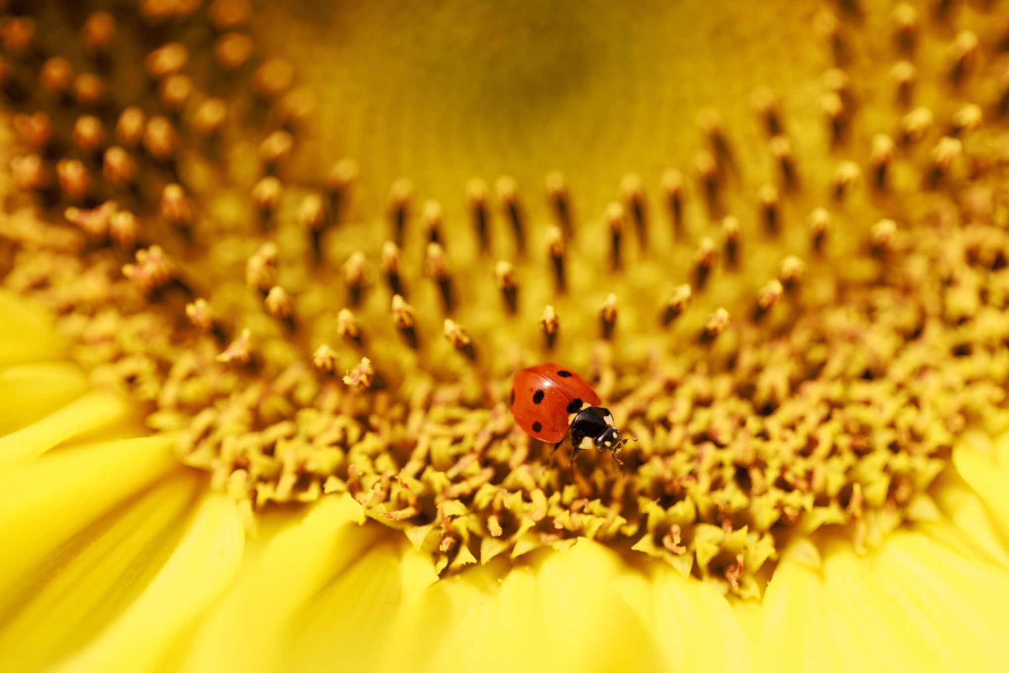 Pictures of the Year: Our photo staff’s best of the best, in their own ...