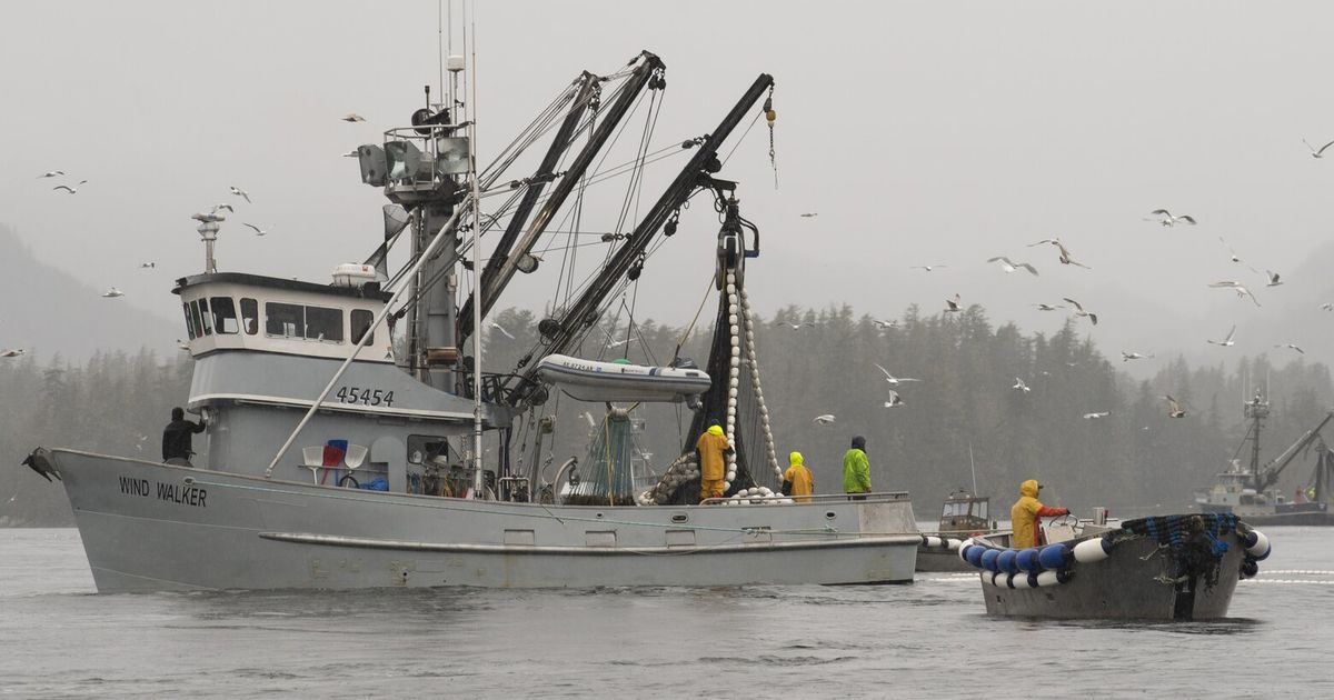 Fishermen want to go green but say DOGE cuts prevent that | The Seattle ...