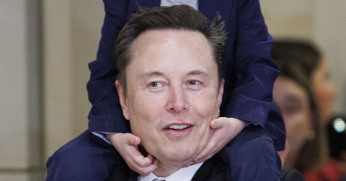 Elon Musk Backed Trump With Over $250 Million, Fueling the Unusual ‘RBG ...