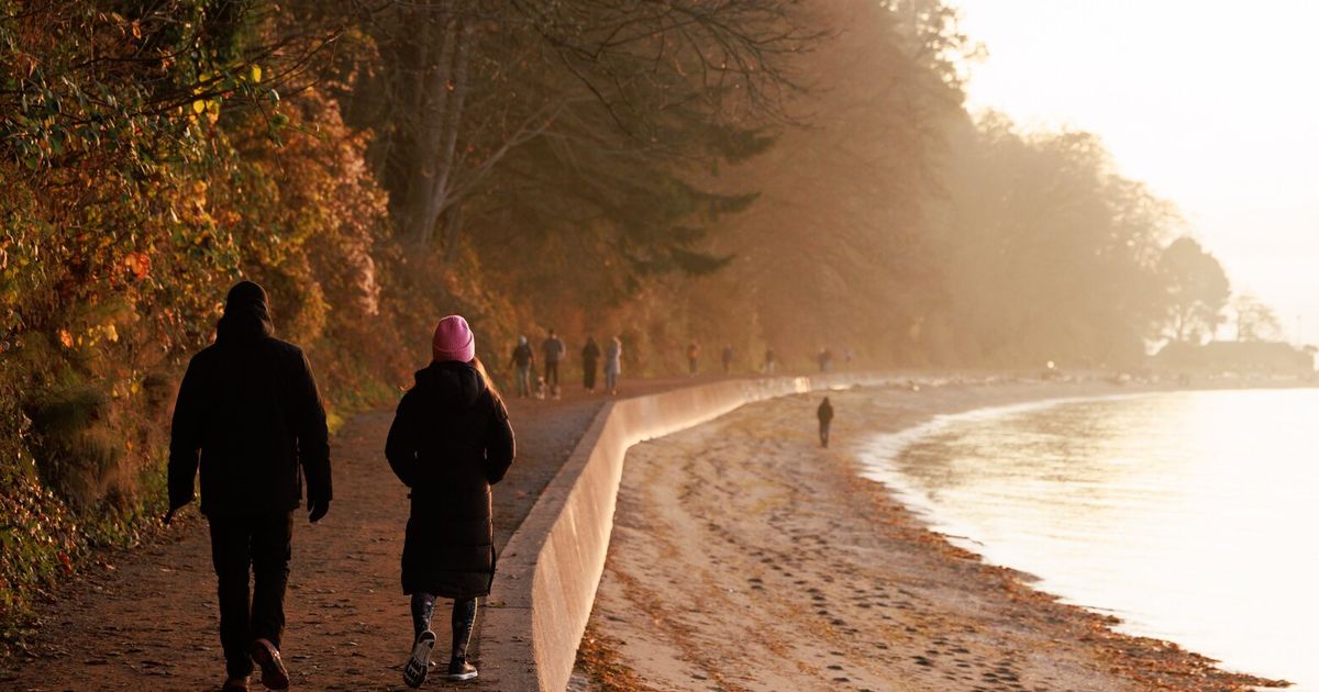 Seattle is No. 2 large metro for singles using online dating services ...