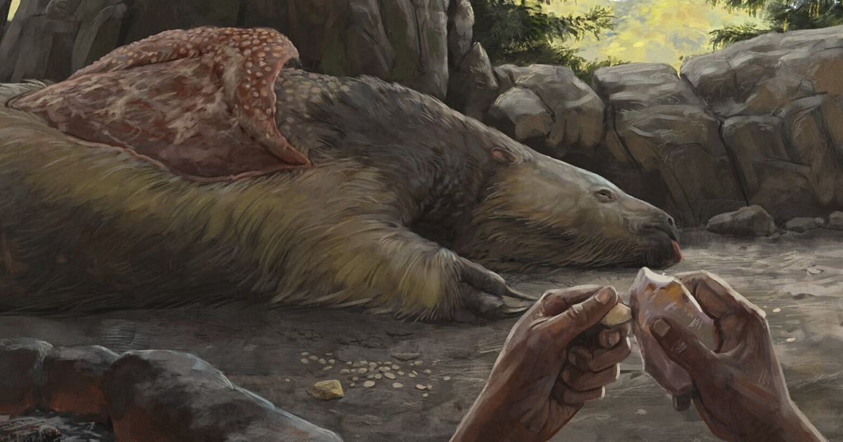 Giant sloths and mastodons lived with humans for millennia in the ...