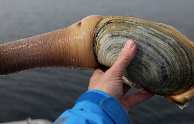 Outdoors | The Seattle Times