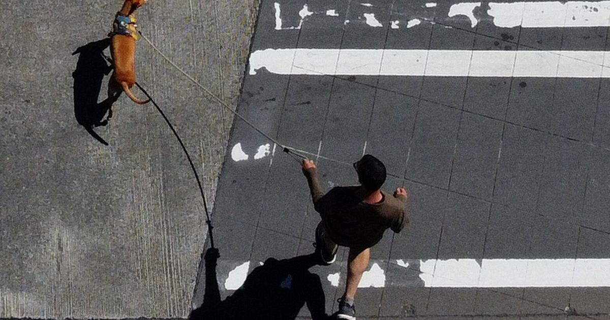 Seattle’s Martin Luther King Jr. Way to extend into Kent, Renton | The ...