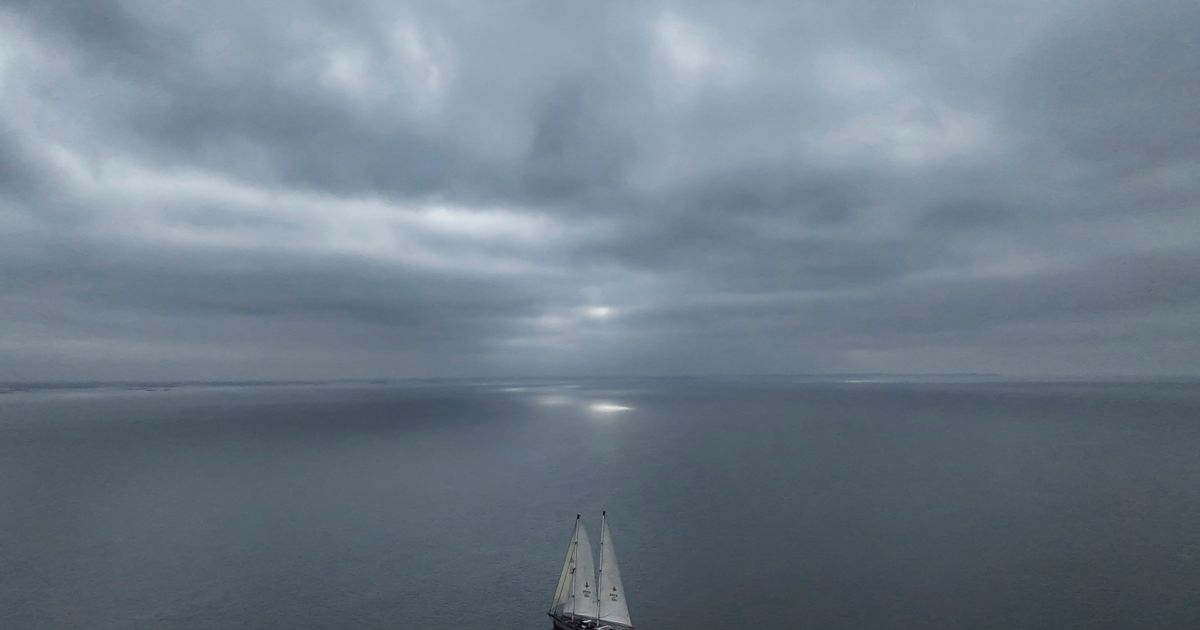 Climate solution: Sails make a comeback in shipping, to dent its huge ...