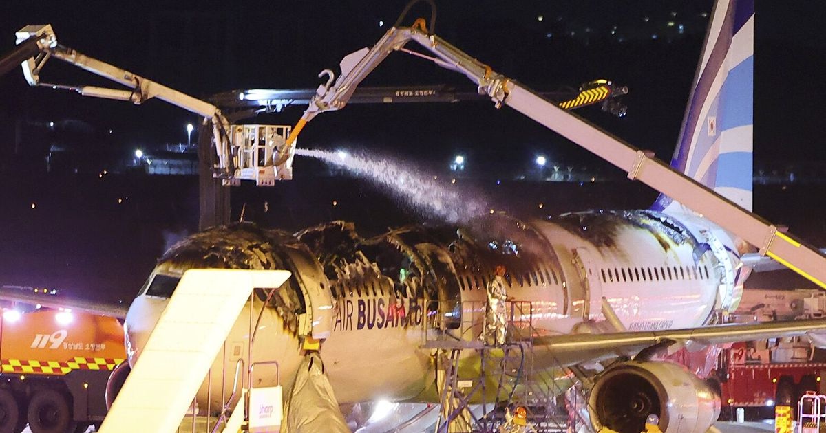 Passenger plane catches fire at South Korean airport. All 176 people on ...