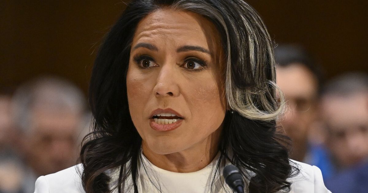 Tulsi Gabbard, Trump’s pick to oversee US spy agencies, advances to ...