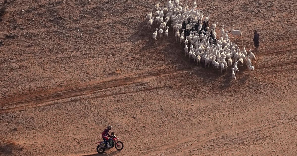 PHOTO COLLECTION: Saudi Arabia Dakar Rally | The Seattle Times