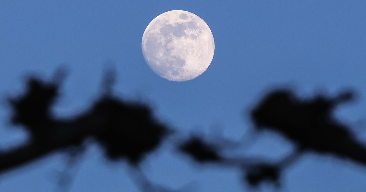 Photos: Winter scenes around Seattle | The Seattle Times