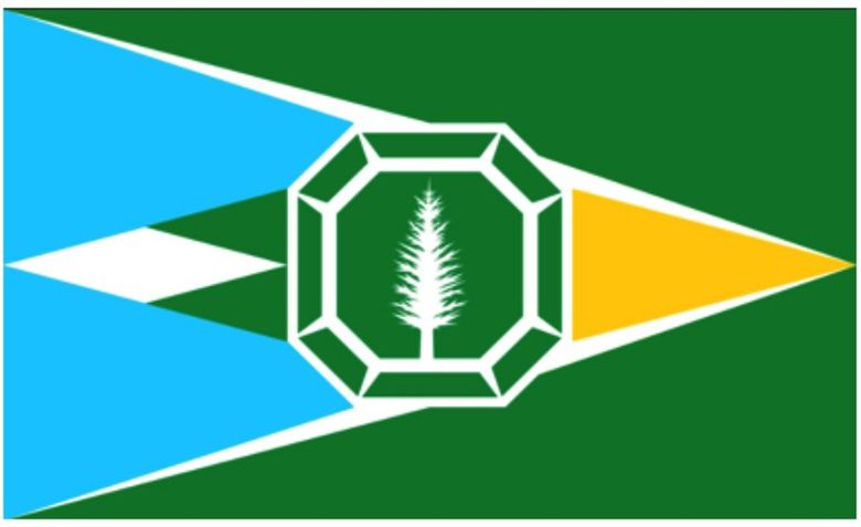 Washington State Flag Tattoos