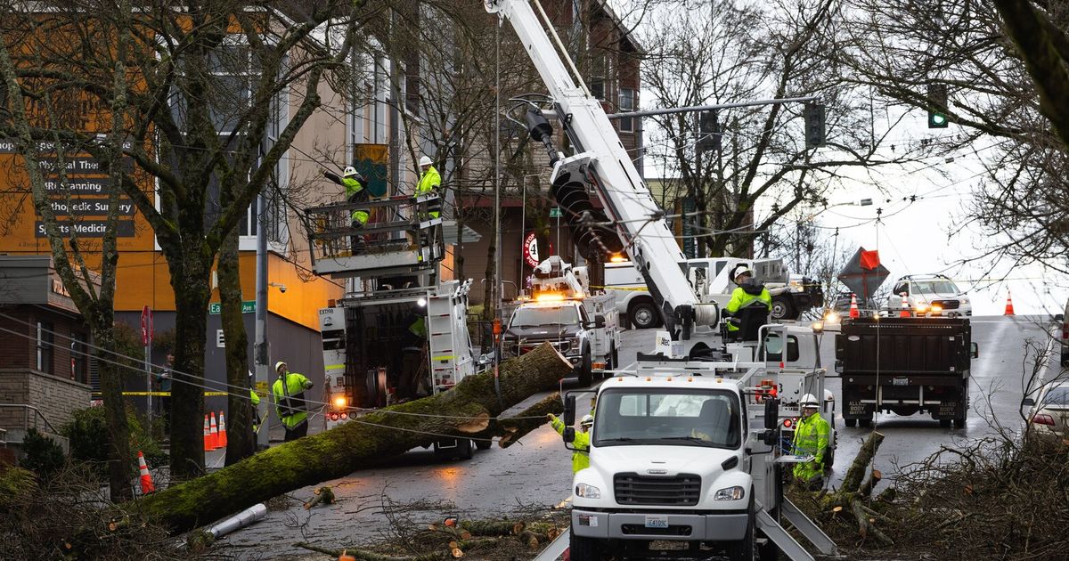 Power returns for most Western WA customers affected by windstorm | The ...