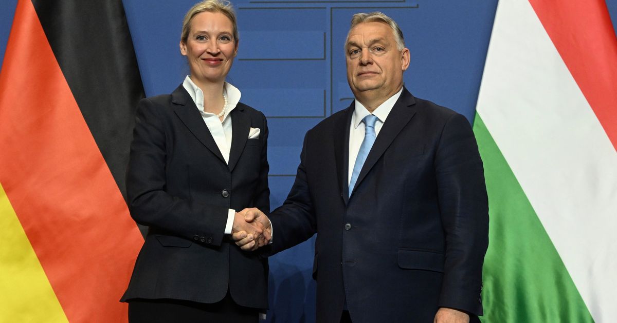Hungary’s Orbán meets head of far-right German party AfD, calling her ...