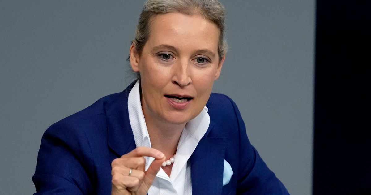 ‘Make Germany great again’: Far-right party could see historic gains in ...
