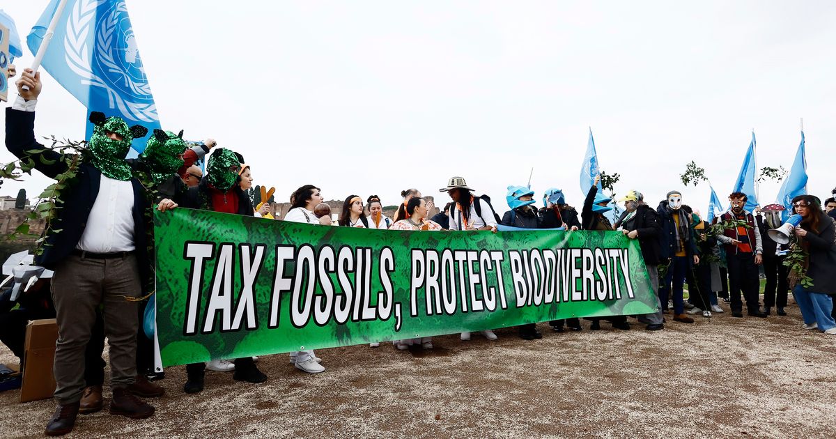 In Rome, talks to protect Earth’s biodiversity resume with money ...