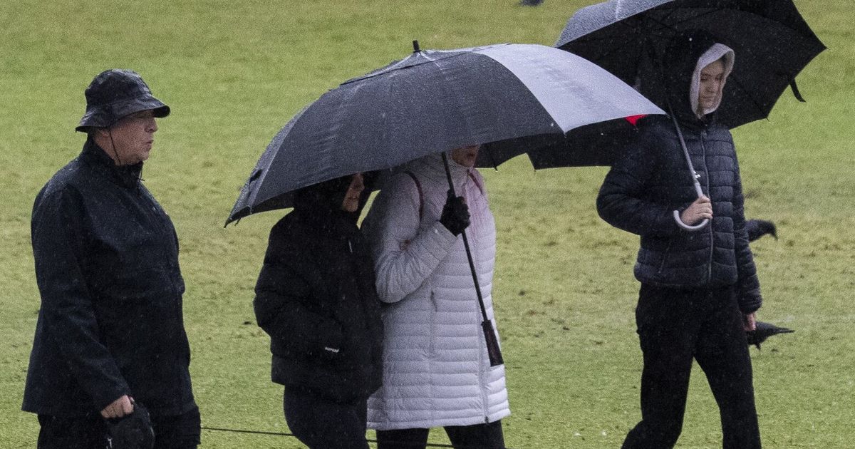 Seattle weather forecast: a return to the gray with rain and fog | The ...