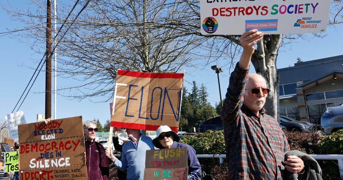 WA Tesla protesters call for end of Musk’s role in federal government ...